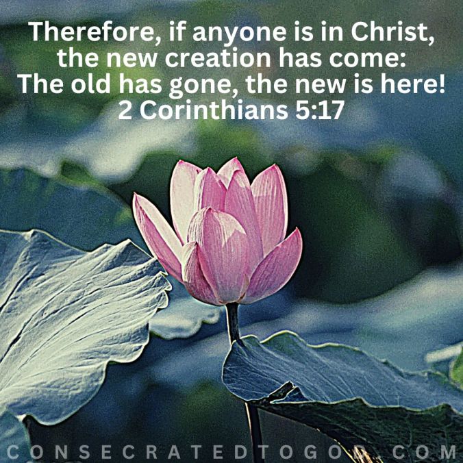 Happy New Year 2025! | CONSECRATED TO GOD