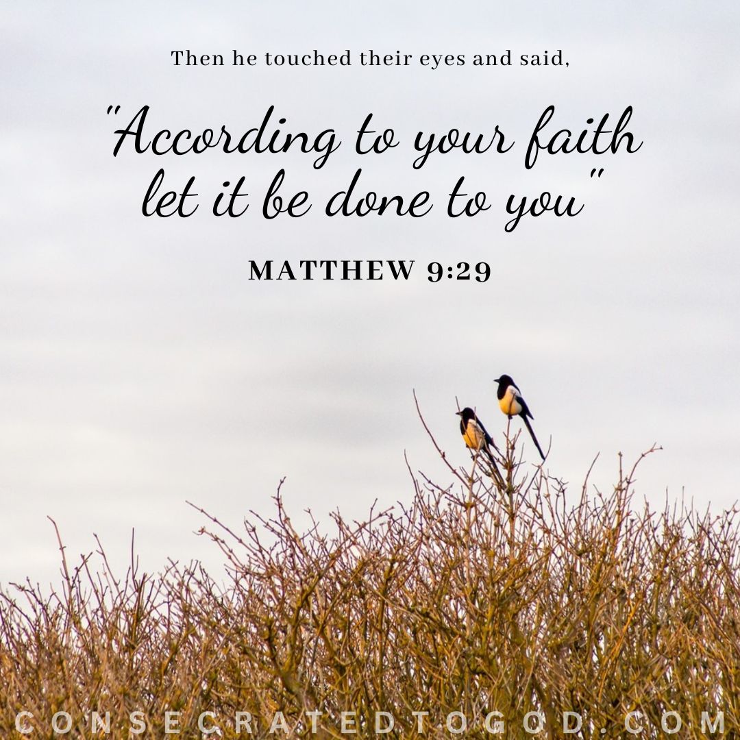 Dream Big: Trusting the God of the Impossible | CONSECRATED TO GOD