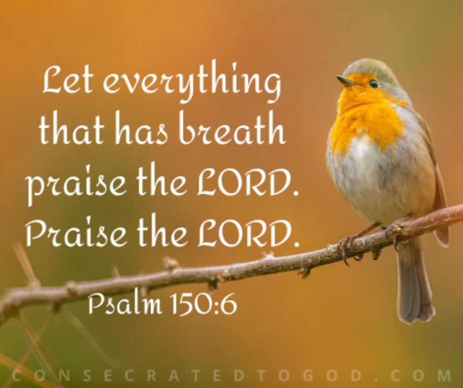 Praise God! | CONSECRATED TO GOD