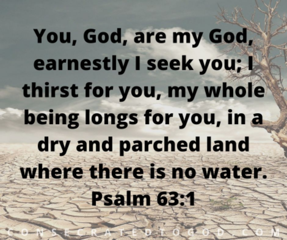 Earnestly Seek God | CONSECRATED TO GOD
