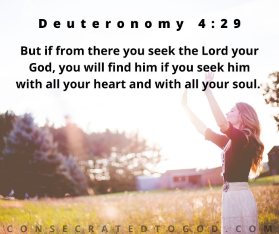 Seek the Lord | CONSECRATED TO GOD