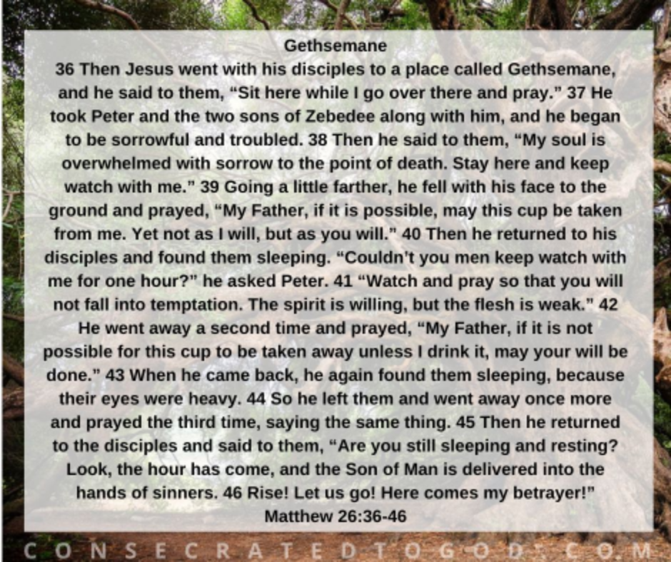 Gethsemane | CONSECRATED TO GOD