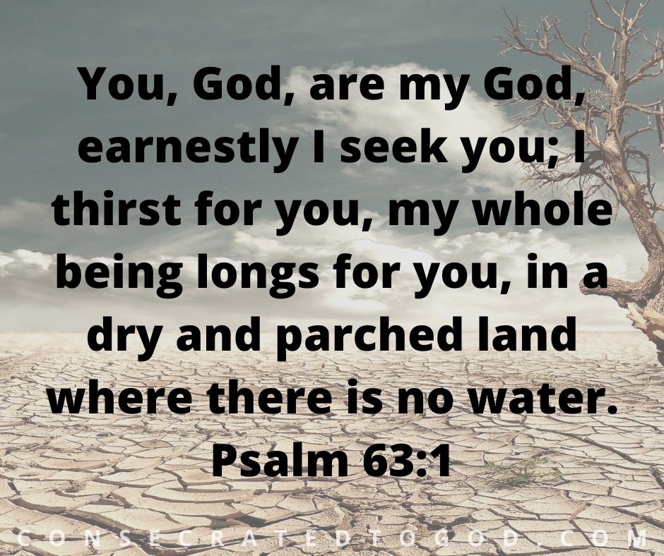 Seek God | CONSECRATED TO GOD